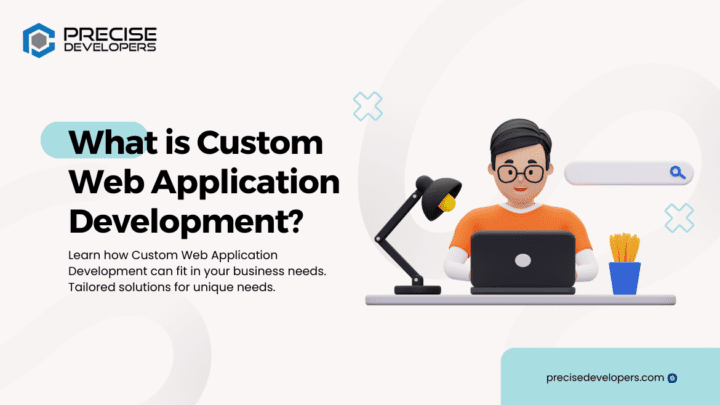What is Custom Web Application Development?